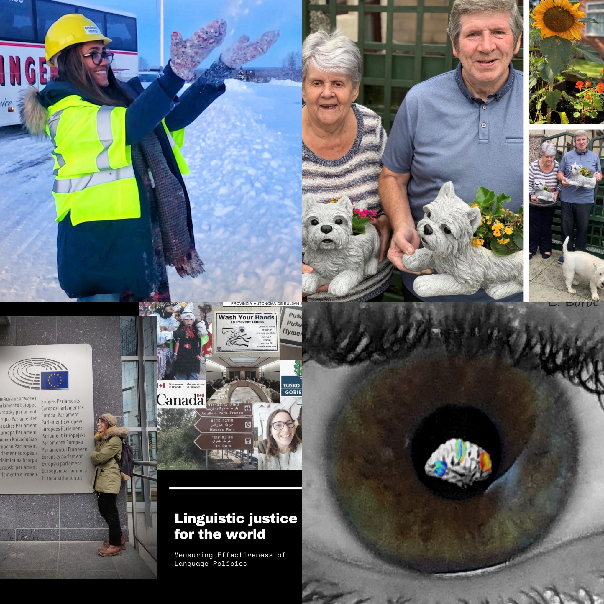 DTA Images of Research Awards winners reflect on their achievements ...