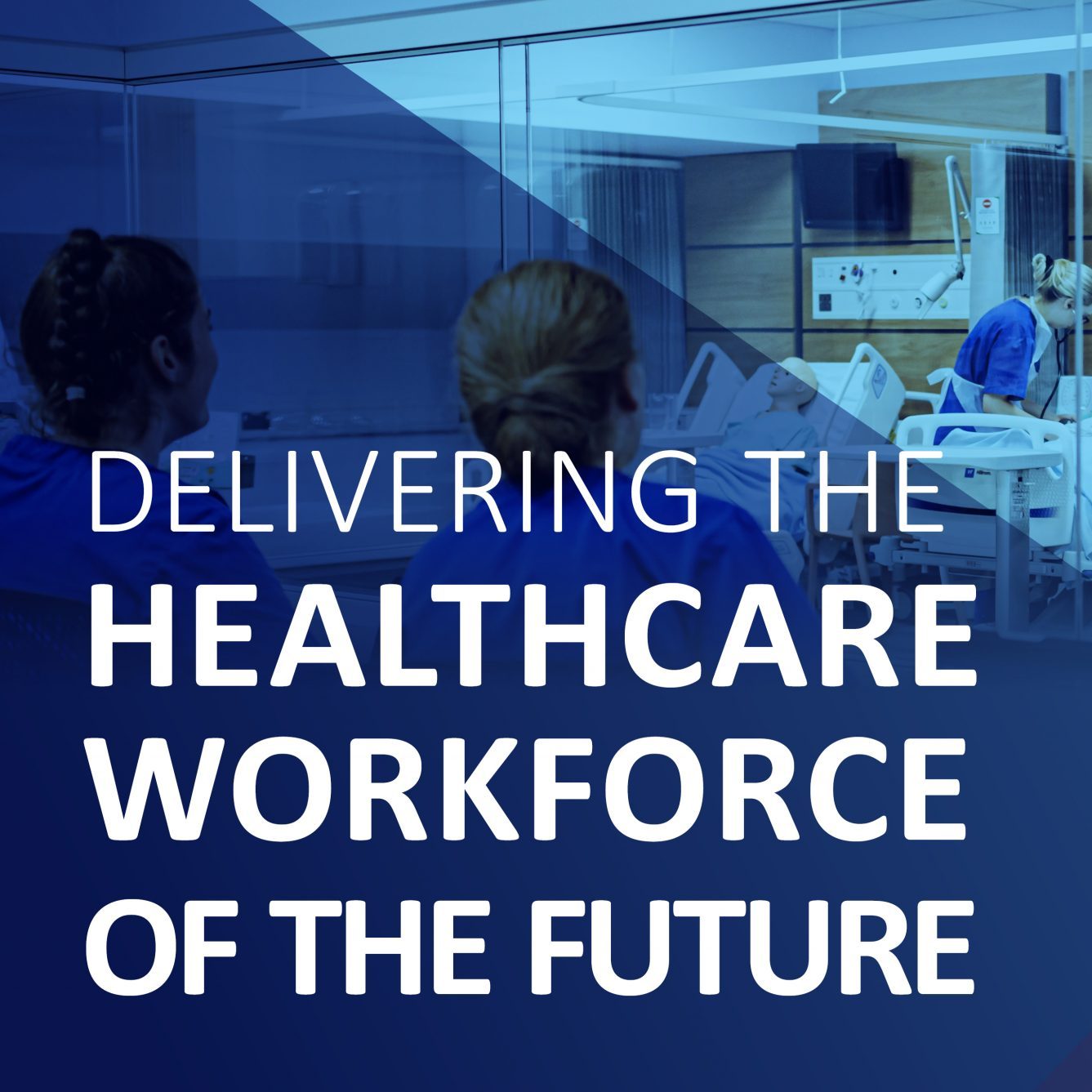 ‘Delivering the Healthcare Workforce of the Future’: University ...